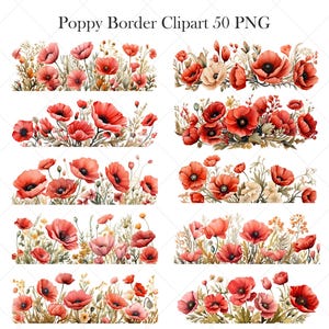 Poppy PNG, Watercolor Poppy Border Clipart, Flower Borders, Digital ...