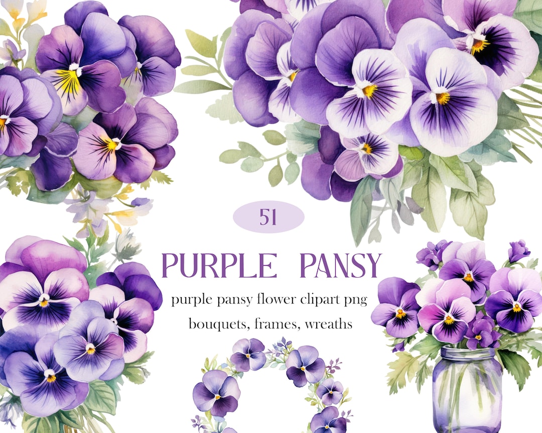 Purple Pansy PNG, Watercolor Pansy Clipart Bundle, Purple Flower ...