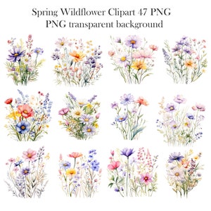 Spring Wildflower Clipart, Watercolor Floral Clipart Bundle, Flower ...