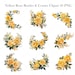 Yellow Rose PNG, Watercolor Yellow Rose Border Clipart, Rose Corner ...
