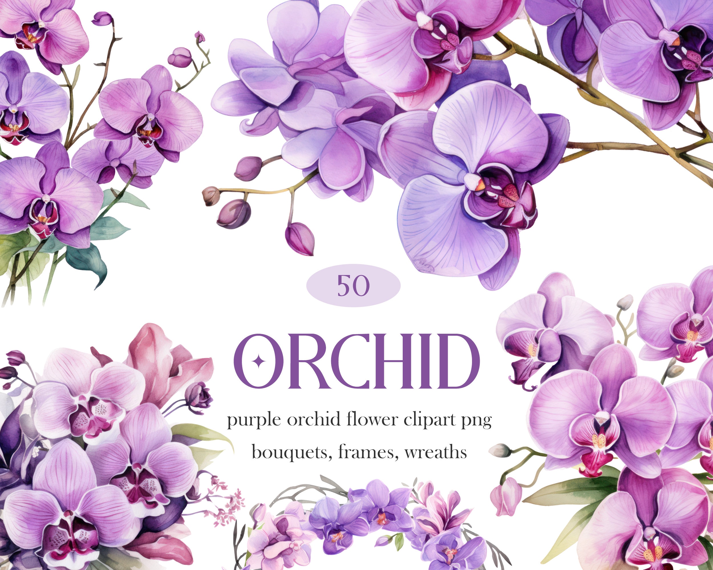 Clipart Orchid Free