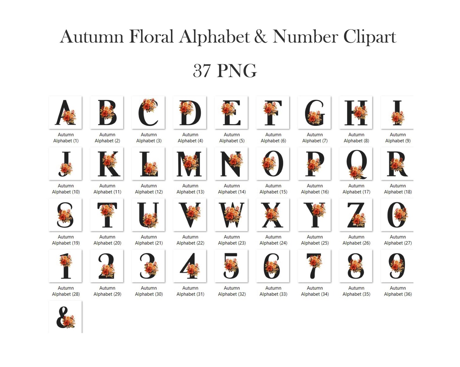 Autumn Floral Alphabet Clipart, Flower Alphabet PNG, Letters Clipart ...
