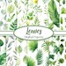 Pastel Tropical Flower Clipart, Summer Flower PNG, Watercolor Floral ...