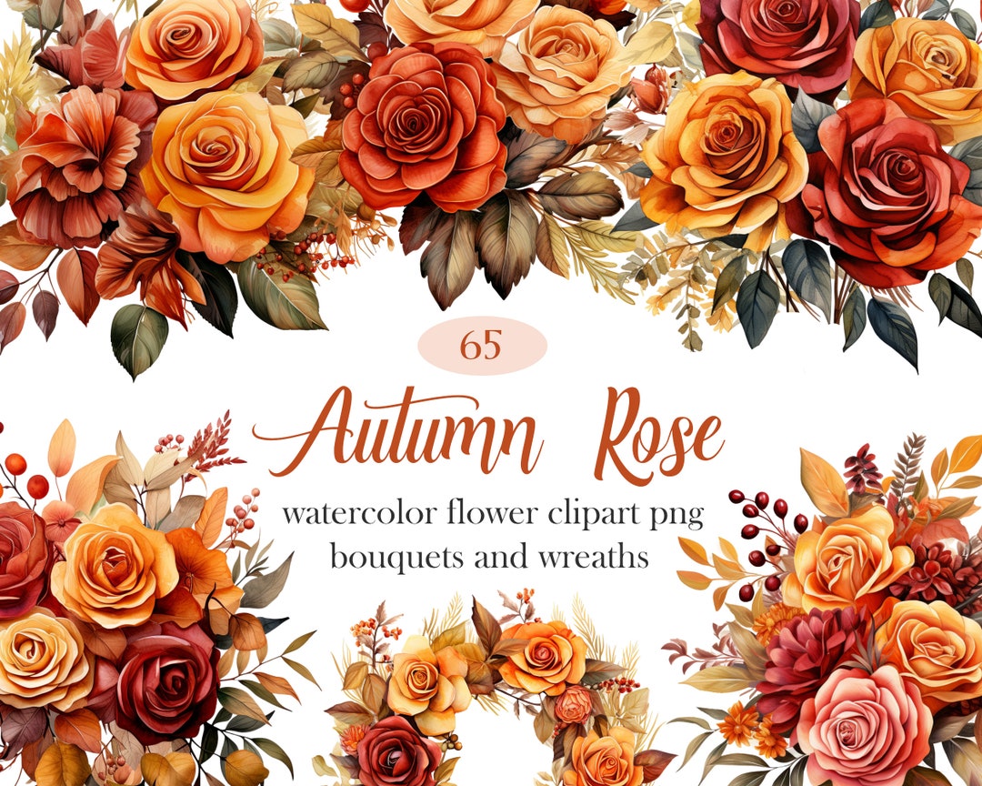 Autumn Rose PNG, Fall Flower Clipart Bundle, Watercolor Fall Rose ...