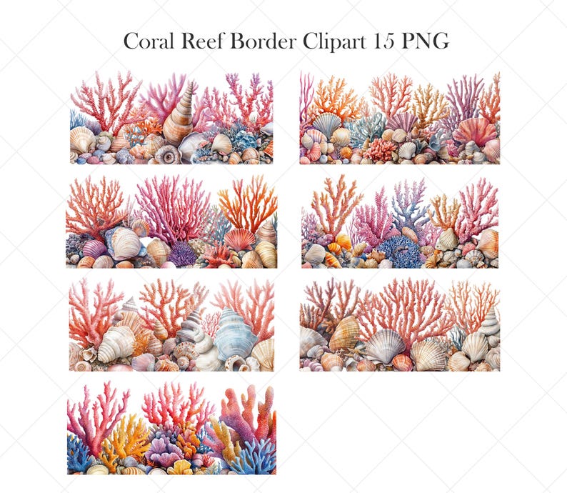 Coral Reef Border Clipart, Seashell, Summer PNG, Digital Download - Etsy
