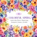 Colorful Spring Flower Clipart, Watercolor Flower PNG, Floral Bouquet ...