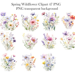 Spring Wildflower Clipart, Watercolor Floral Clipart Bundle, Flower ...
