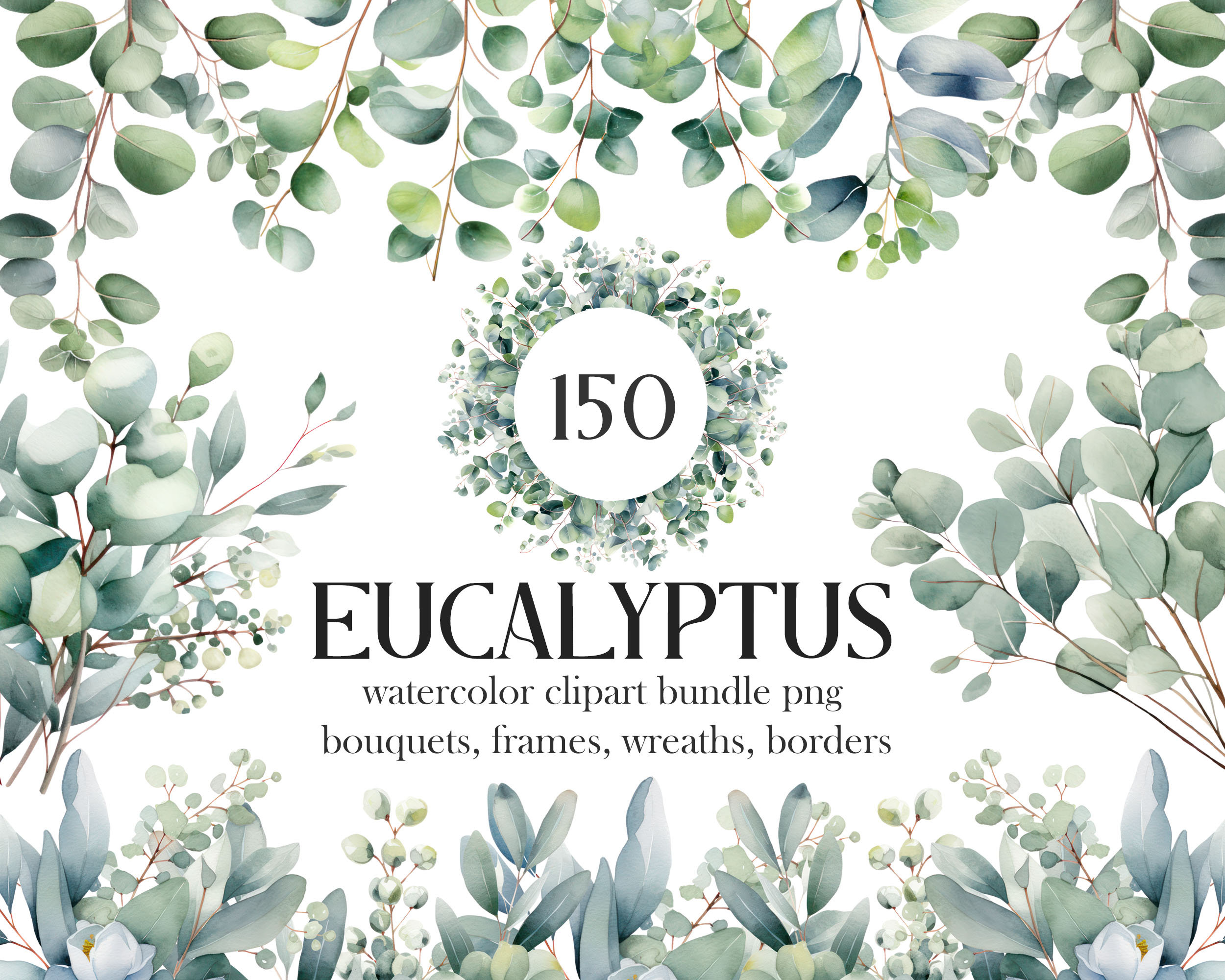 Eucalyptus PNG, Watercolor Eucalyptus Clipart Bundle, Greenery Clipart ...
