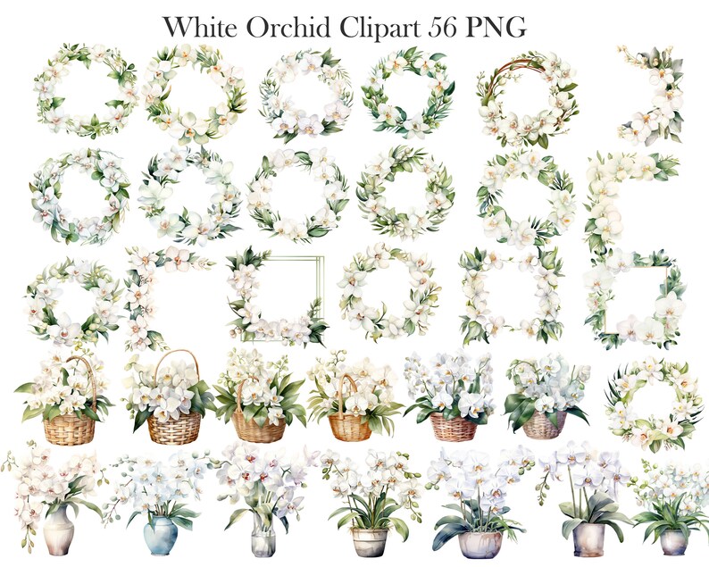 White Orchid PNG, Watercolor Orchid Clipart Bundle, White Flower ...