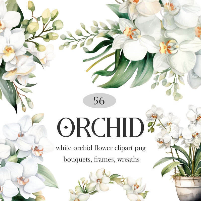 Wall Art White Orchid - Etsy