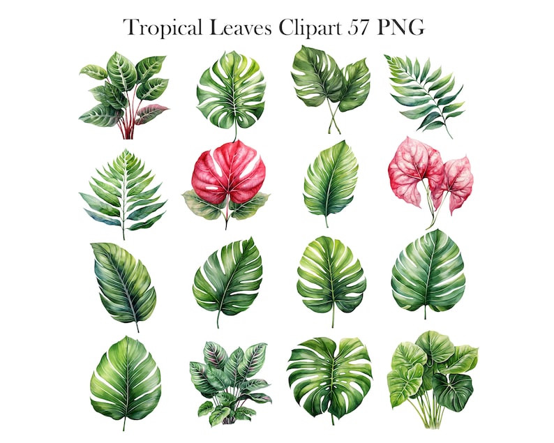 Tropical Leaves PNG, Watercolor Tropical Leaf Clipart Bundle, Greenery ...