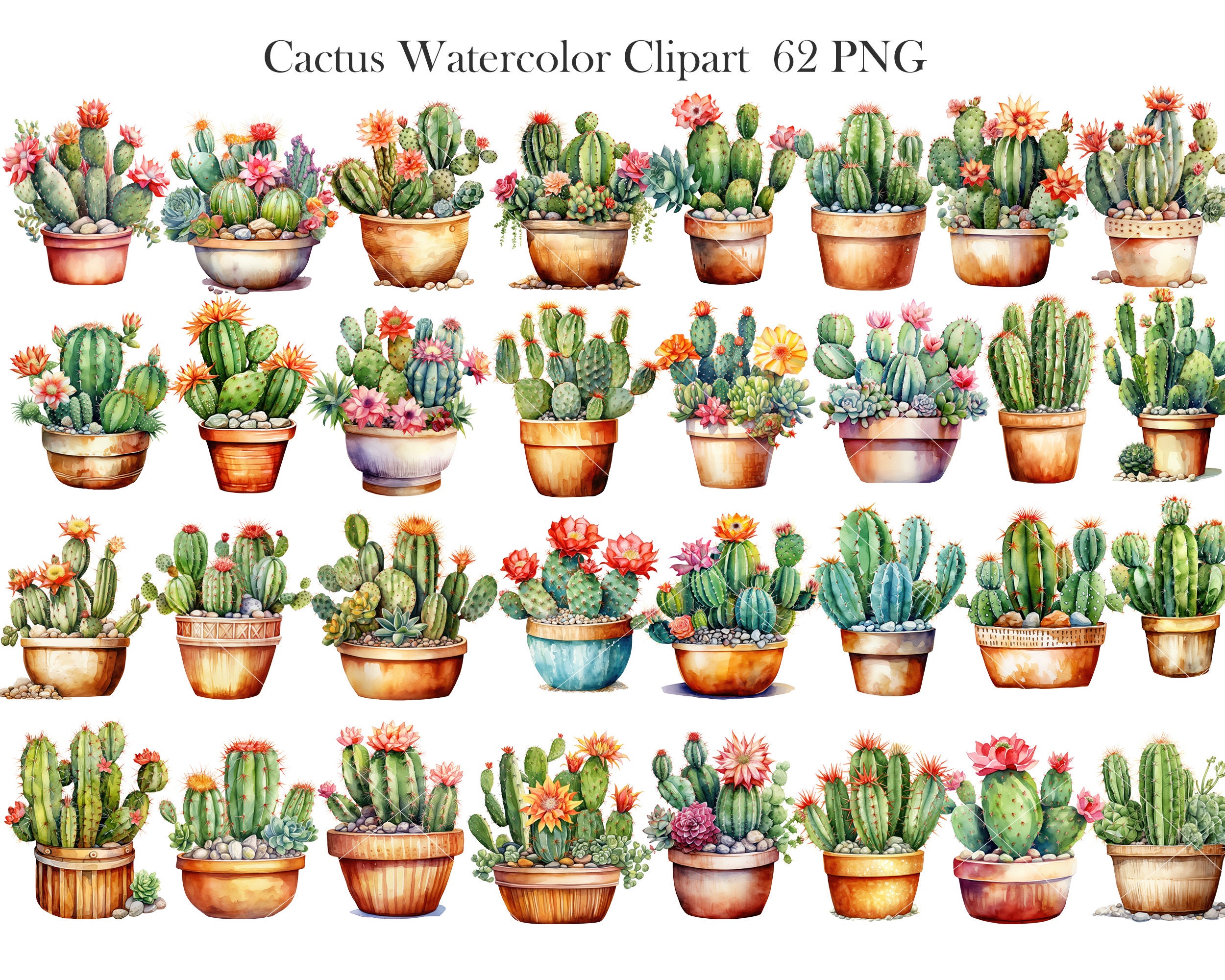 Watercolor Cactus Clipart Bundle, Desert Cactus PNG Clipart, Potted ...