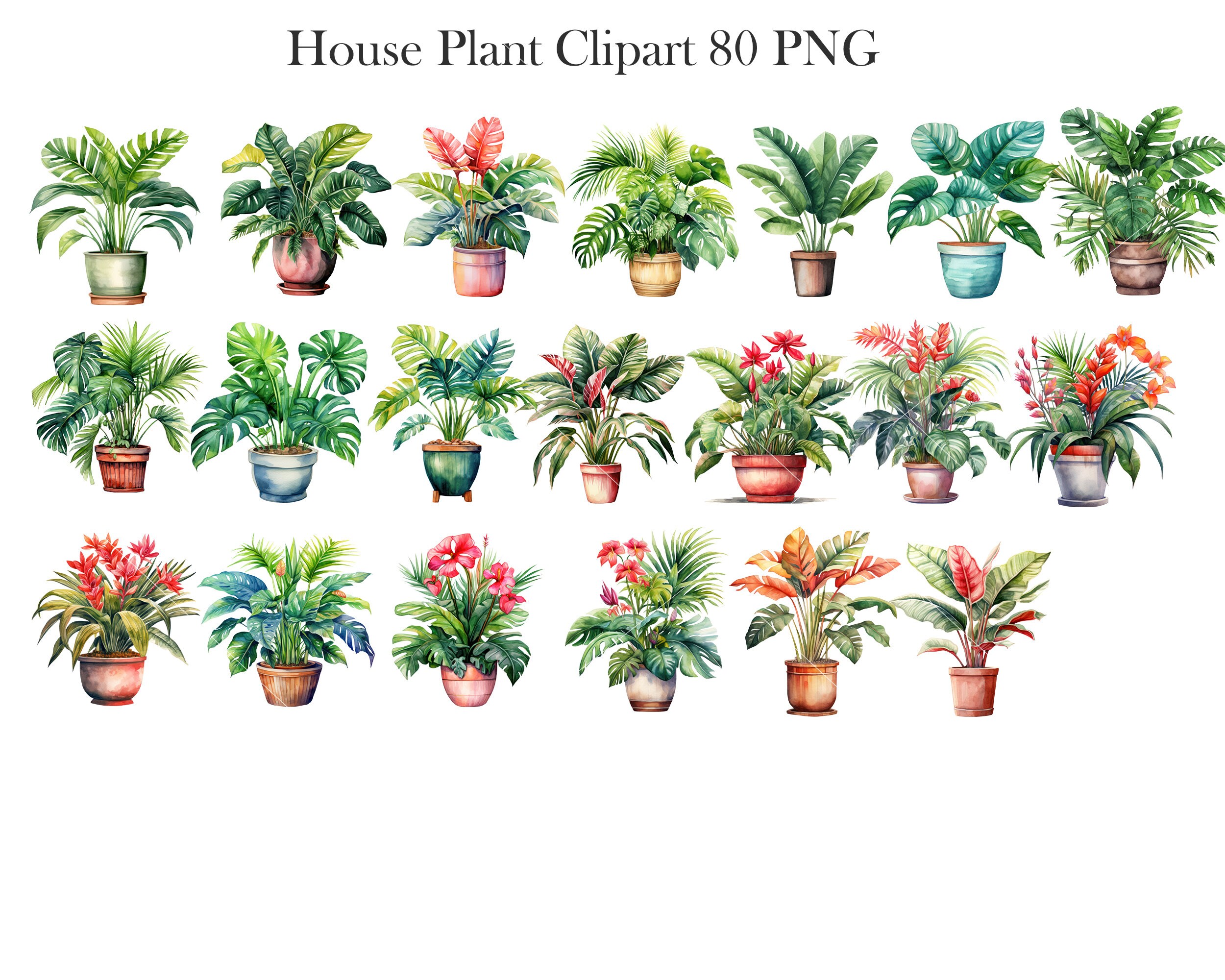 House Plants Clipart Watercolor Potted Plants PNG Indoor - Etsy