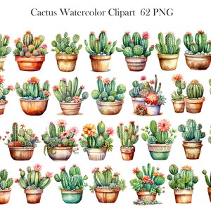 Watercolor Cactus Clipart Bundle, Desert Cactus PNG Clipart, Potted ...