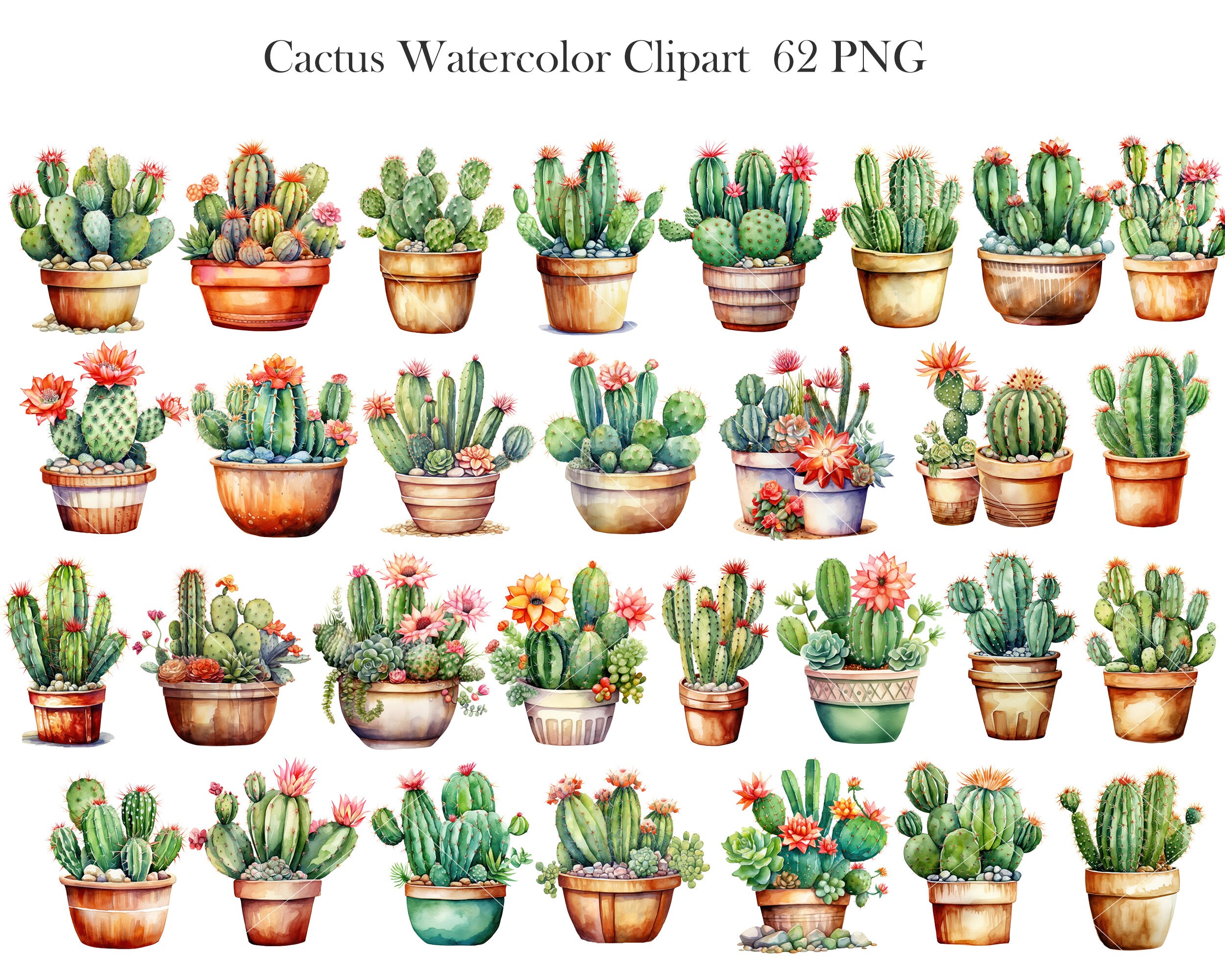 Watercolor Cactus Clipart Bundle, Desert Cactus PNG Clipart, Potted ...
