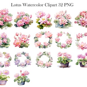 Lotus Clipart, Watercolor Lotus Flower Clipart Bundle, Lotus PNG, Water ...
