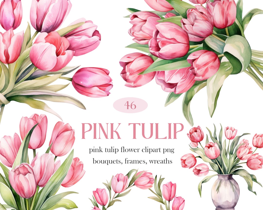 Pink Tulip Watercolor Clipart, Tulip Flower PNG, Watercolor Pink Floral ...