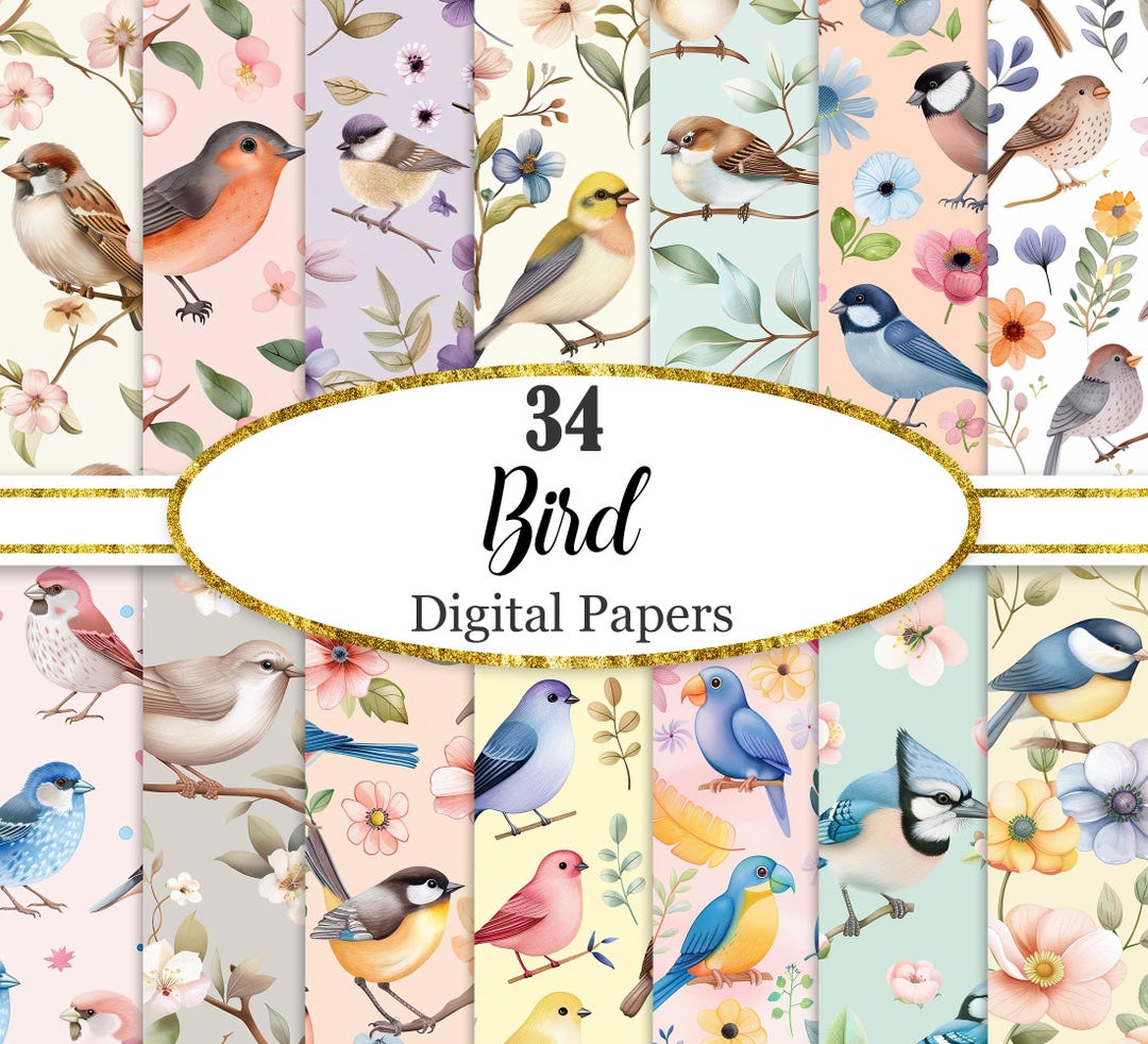 Bird Digital Paper, Bird Background Bundle, Scrapbook Paper, Digital ...