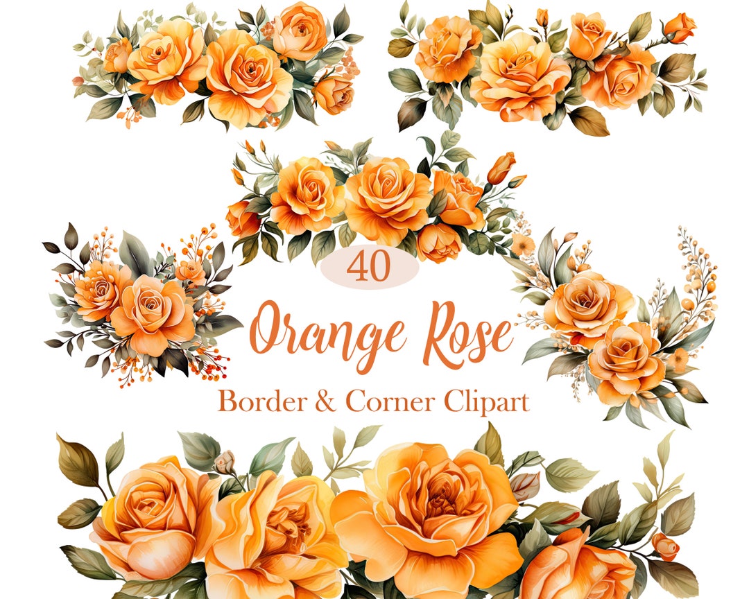 Orange Rose PNG, Watercolor Orange Rose Border Clipart, Rose Corner ...