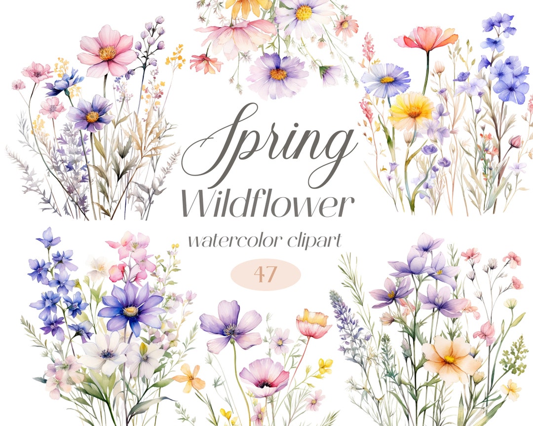 Spring Wildflower Clipart, Watercolor Floral Clipart Bundle, Flower ...