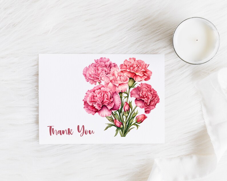 Carnation Clipart, Watercolor Floral Clipart Bundle, Carnation PNG ...