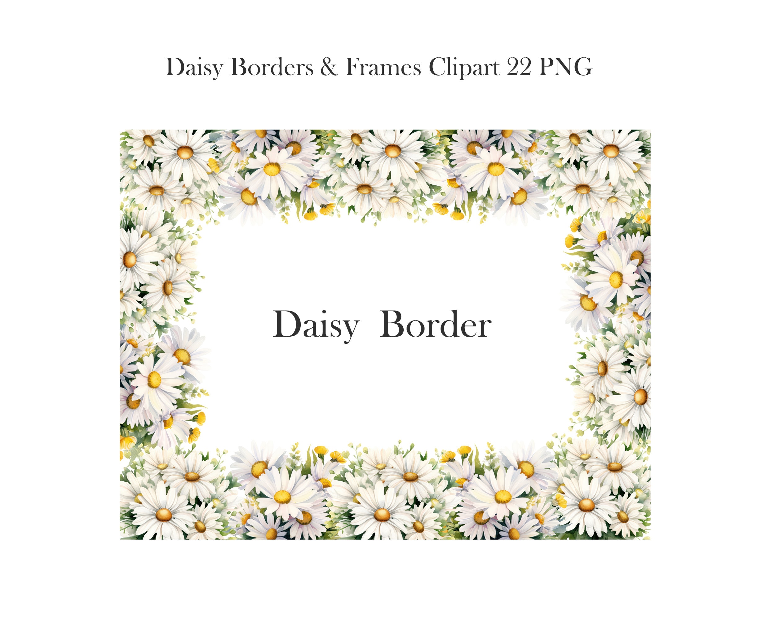 Daisy PNG, Daisy Border Clipart, Watercolor Daisy Clipart Bundle ...