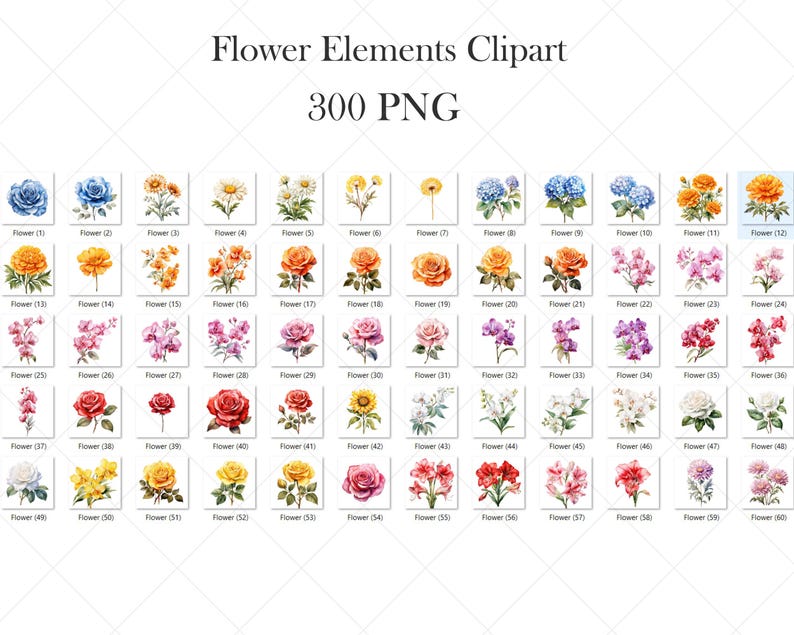 Flower PNG, Watercolor Flower Clipart Bundle, Spring Floral ...