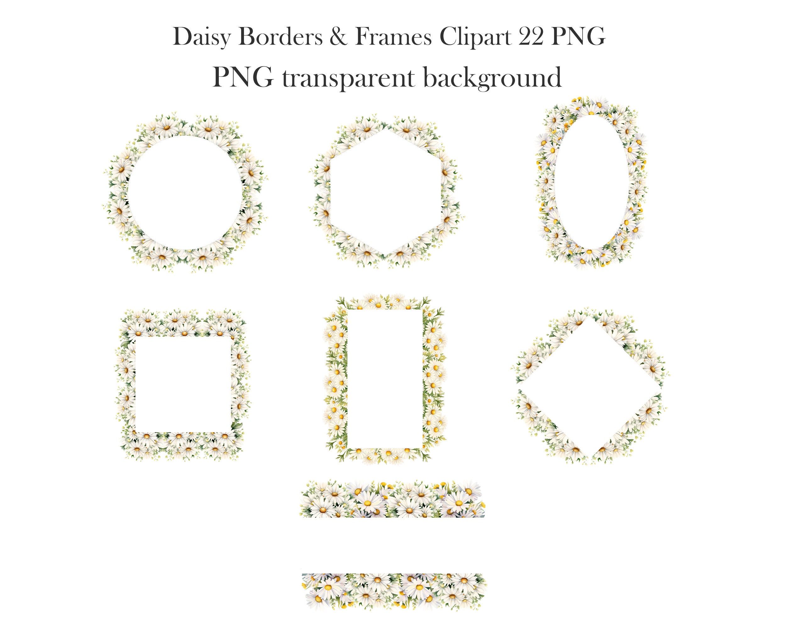 Daisy PNG, Daisy Border Clipart, Watercolor Daisy Clipart Bundle ...