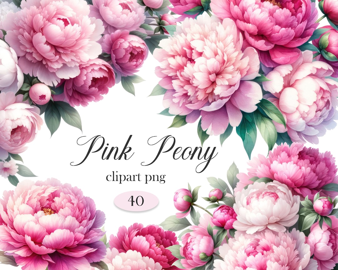 Pink Peony Flower Clipart, Peony PNG, Wedding Bouquet, Pink Floral ...