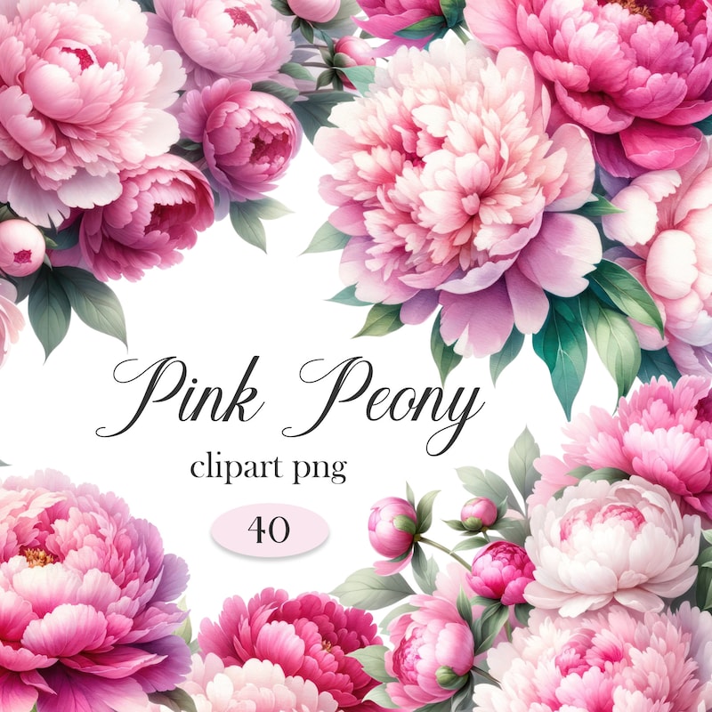 Peony Wallpaper Borders - Etsy