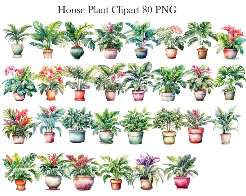 House Plants Clipart Watercolor Potted Plants PNG Indoor - Etsy
