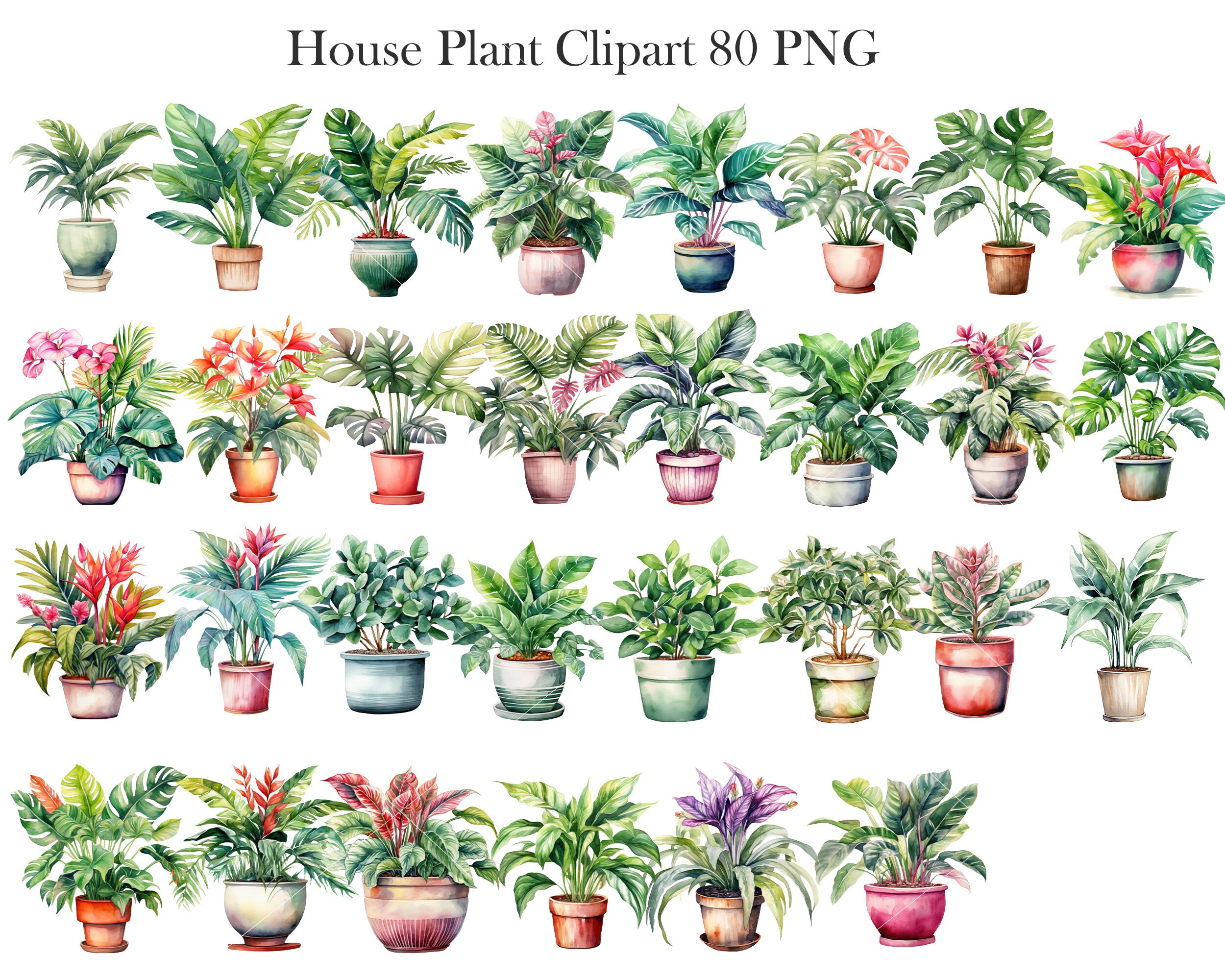House Plants Clipart Watercolor Potted Plants PNG Indoor - Etsy