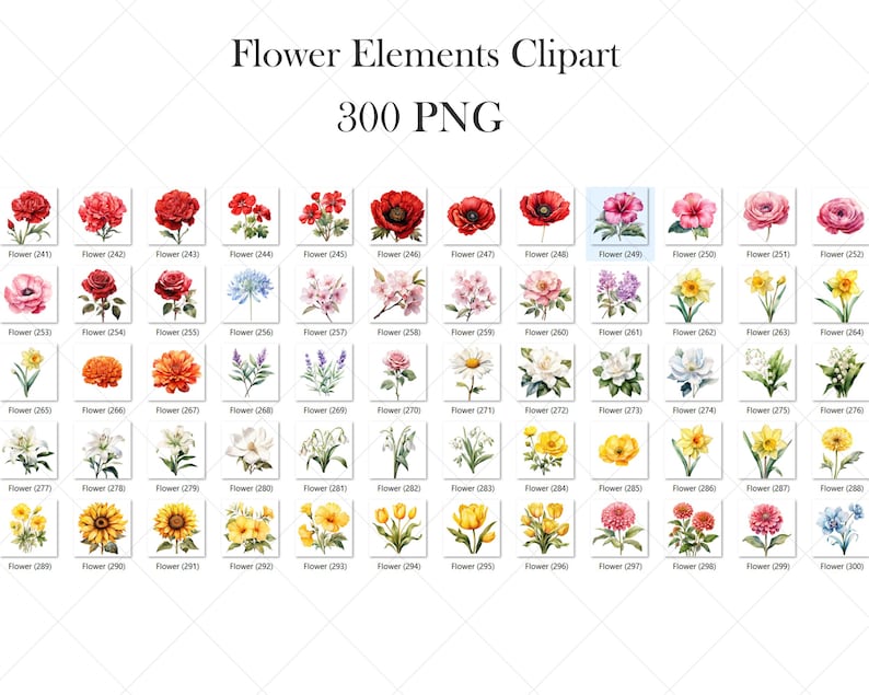 Flower PNG, Watercolor Flower Clipart Bundle, Spring Floral ...