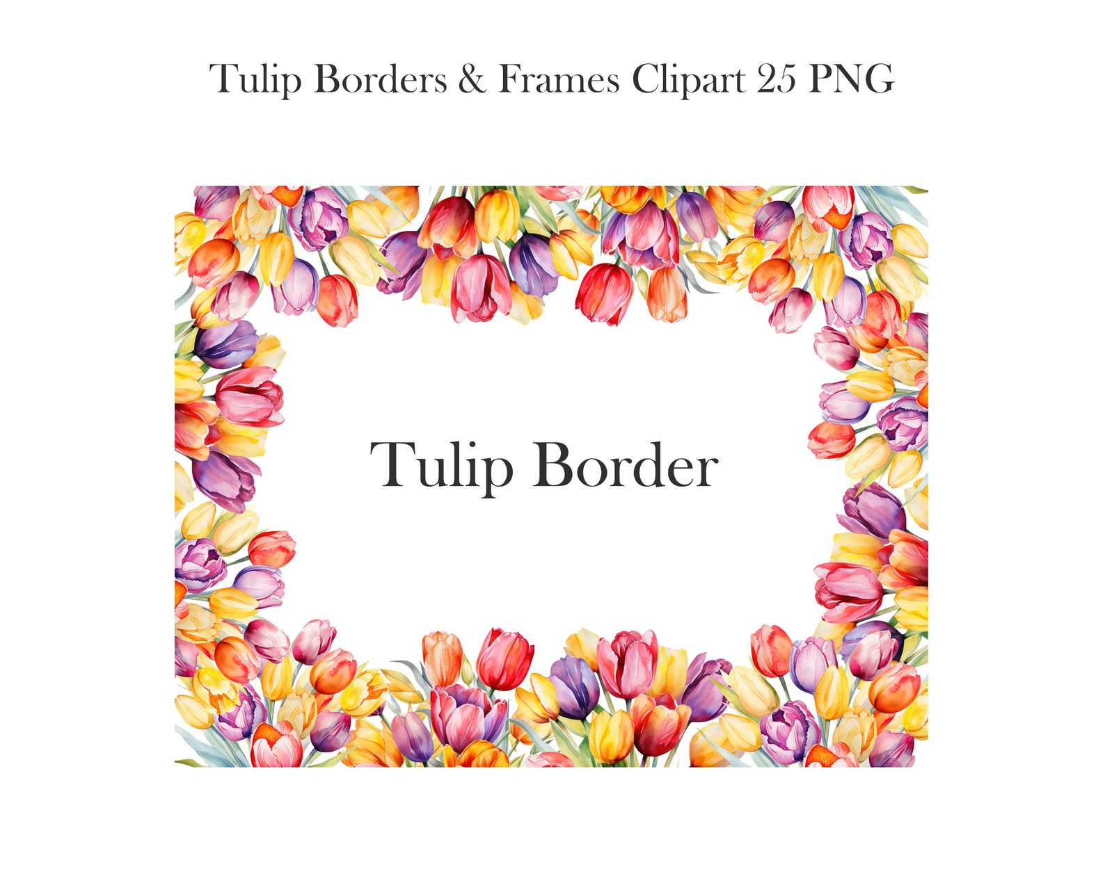 Tulip Border Clipart, Watercolor Tulip Frame Clipart Bundle, Flower ...