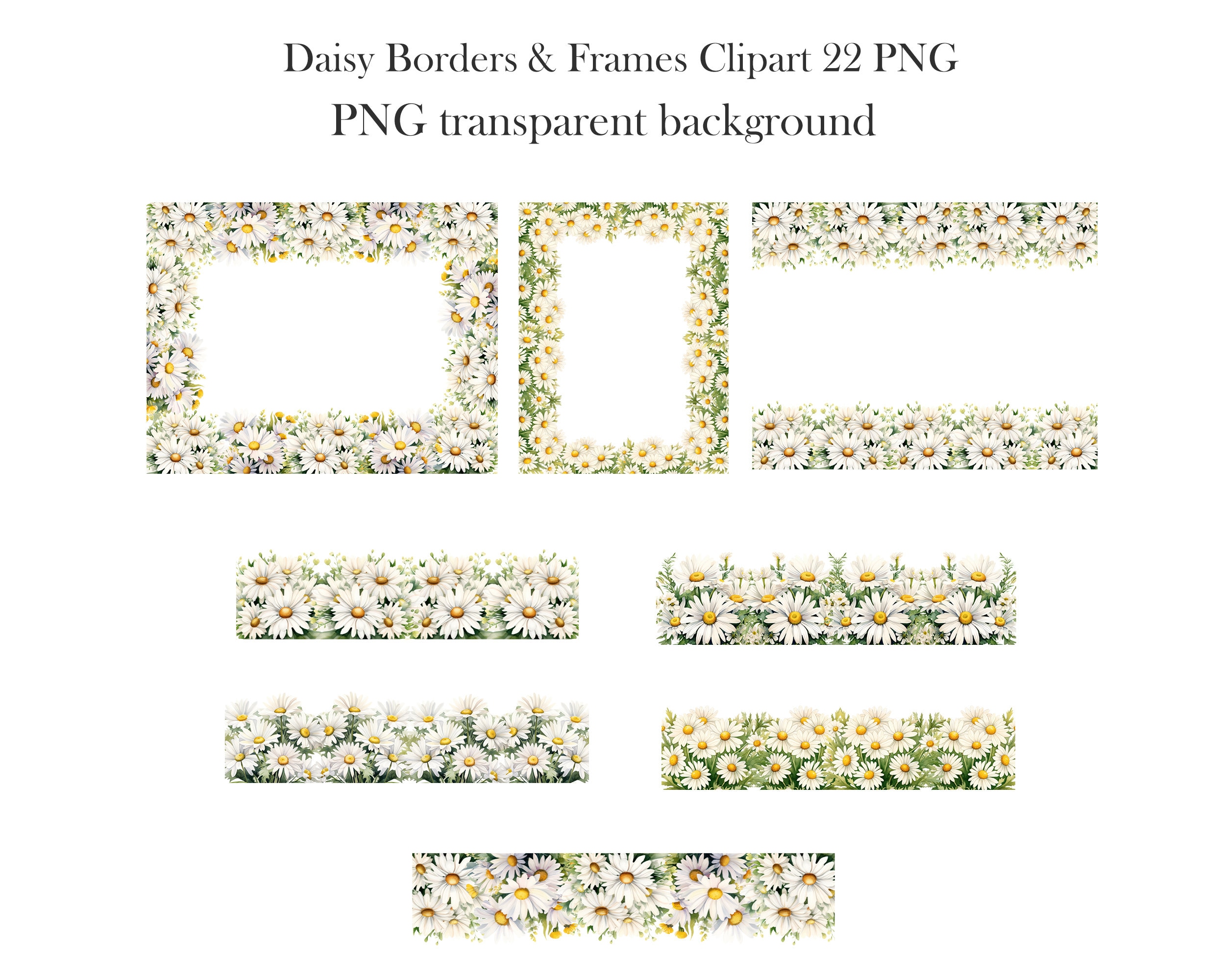 Daisy PNG, Daisy Border Clipart, Watercolor Daisy Clipart Bundle ...