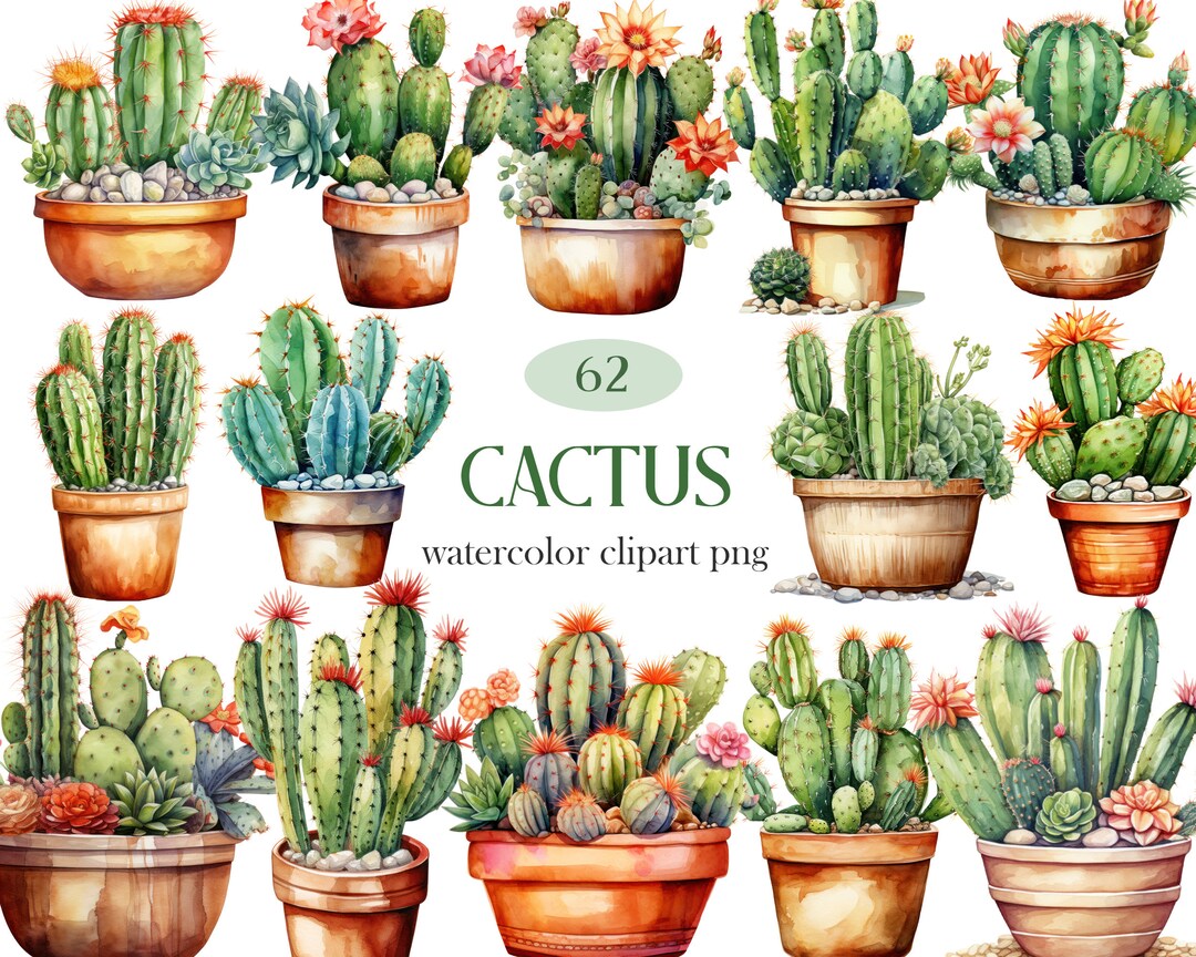Watercolor Cactus Clipart Bundle, Desert Cactus PNG Clipart, Potted ...