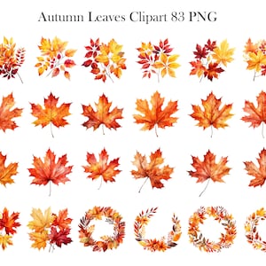 Autumn Leaves Clipart, Watercolor Fall Leaf Clipart Bundle, Fall Leaves ...