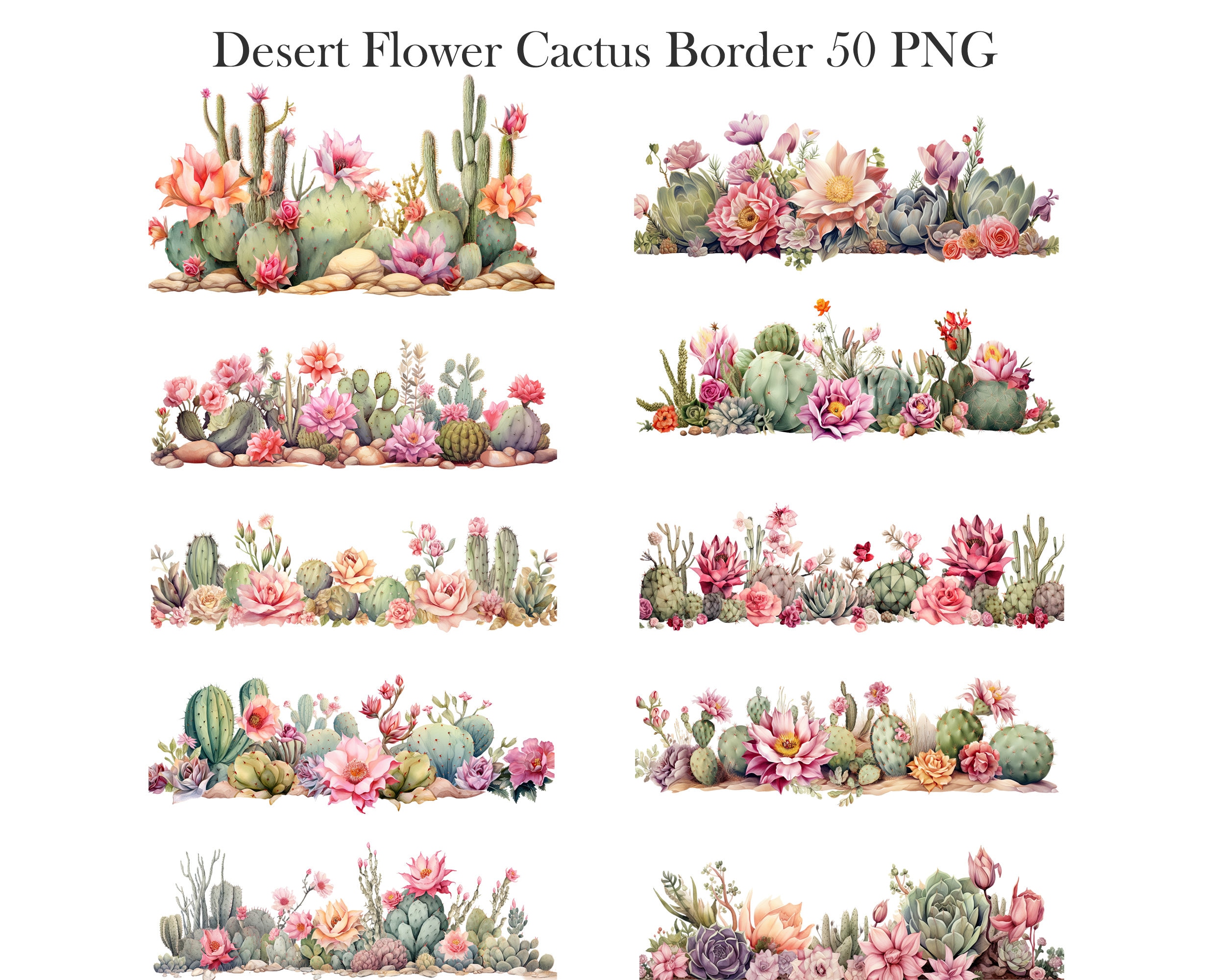 Desert Flower Cactus Border PNG, Watercolor Desert Flower Clipart ...