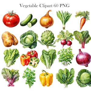 Vegetable Clipart, Watercolor Vegetables PNG Bundle, Veggie, Food ...