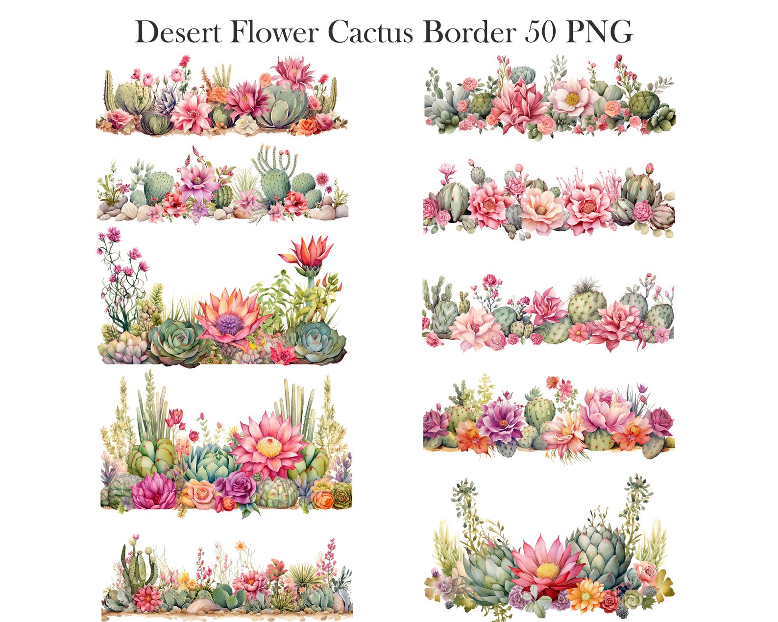 Desert Flower Cactus Border PNG, Watercolor Desert Flower Clipart ...