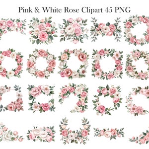 Pink White Rose Clipart, Watercolor Flower Clipart Bundle, Rose PNG ...