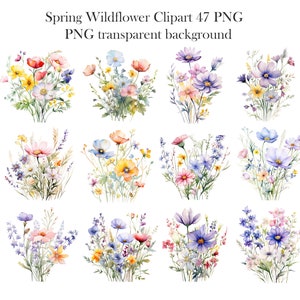 Spring Wildflower Clipart, Watercolor Floral Clipart Bundle, Flower ...