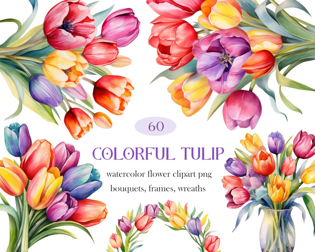 Colorful Tulip Watercolor Clipart, Tulip PNG, Watercolor Floral Clipart ...