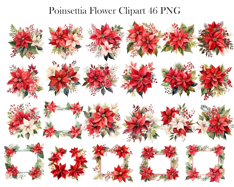Poinsettia Clipart, Christmas Flower Clipart, Watercolor Poinsettia PNG ...