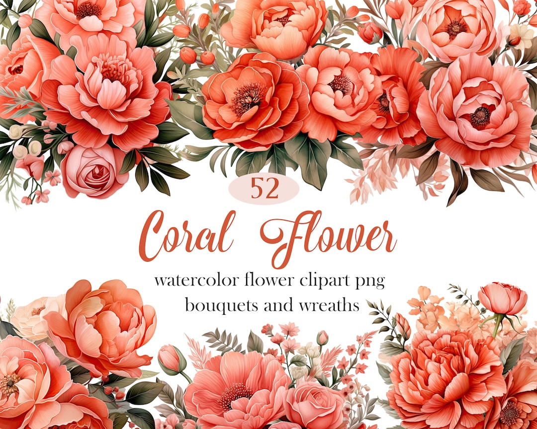 Coral Flower PNG, Watercolor Floral Clipart Bundle, Flower Bouquet ...