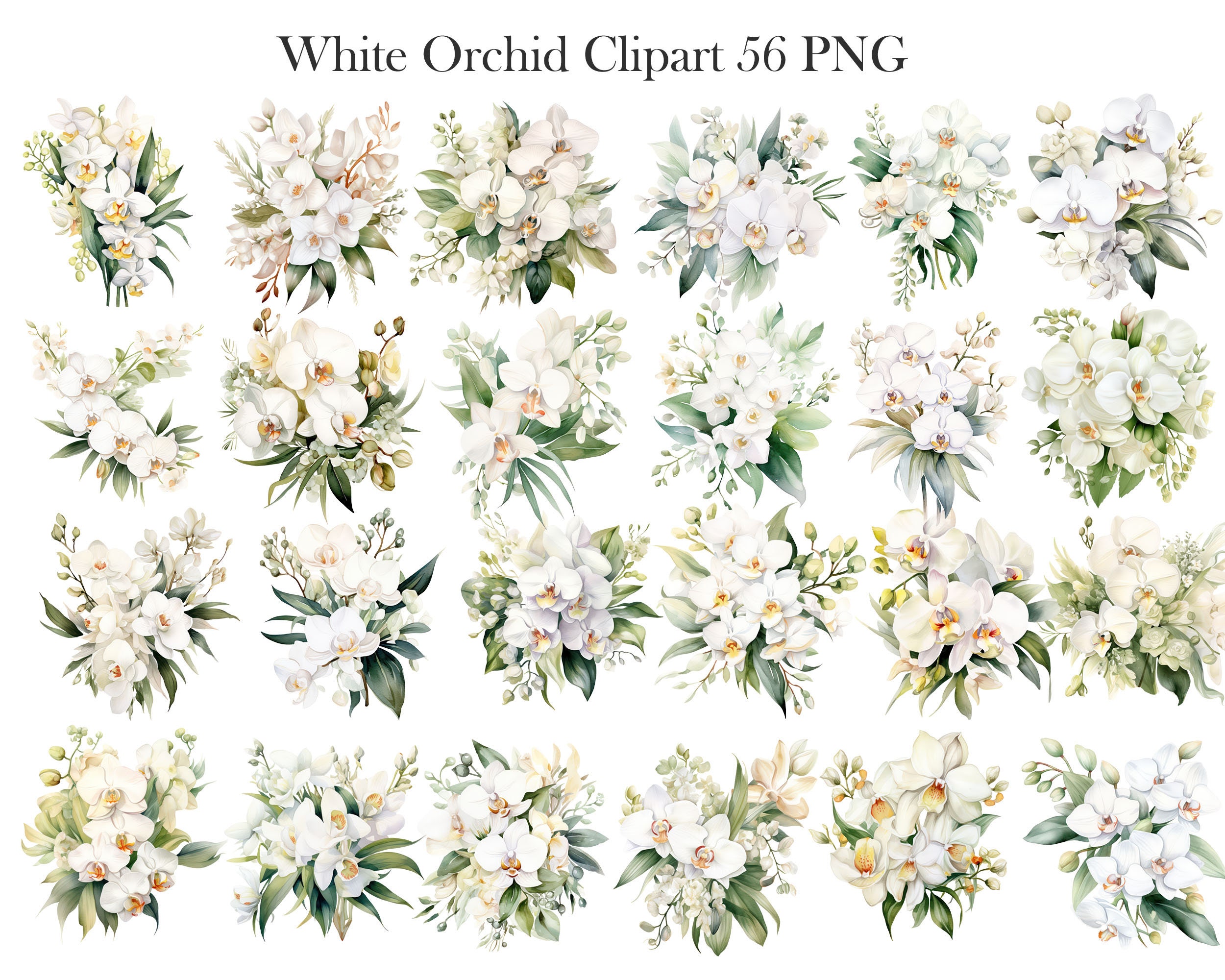 White Orchid PNG, Watercolor Orchid Clipart Bundle, White Flower ...