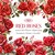 Red Rose Border Clipart, Watercolor Rose Border PNG Bundle, Flower ...