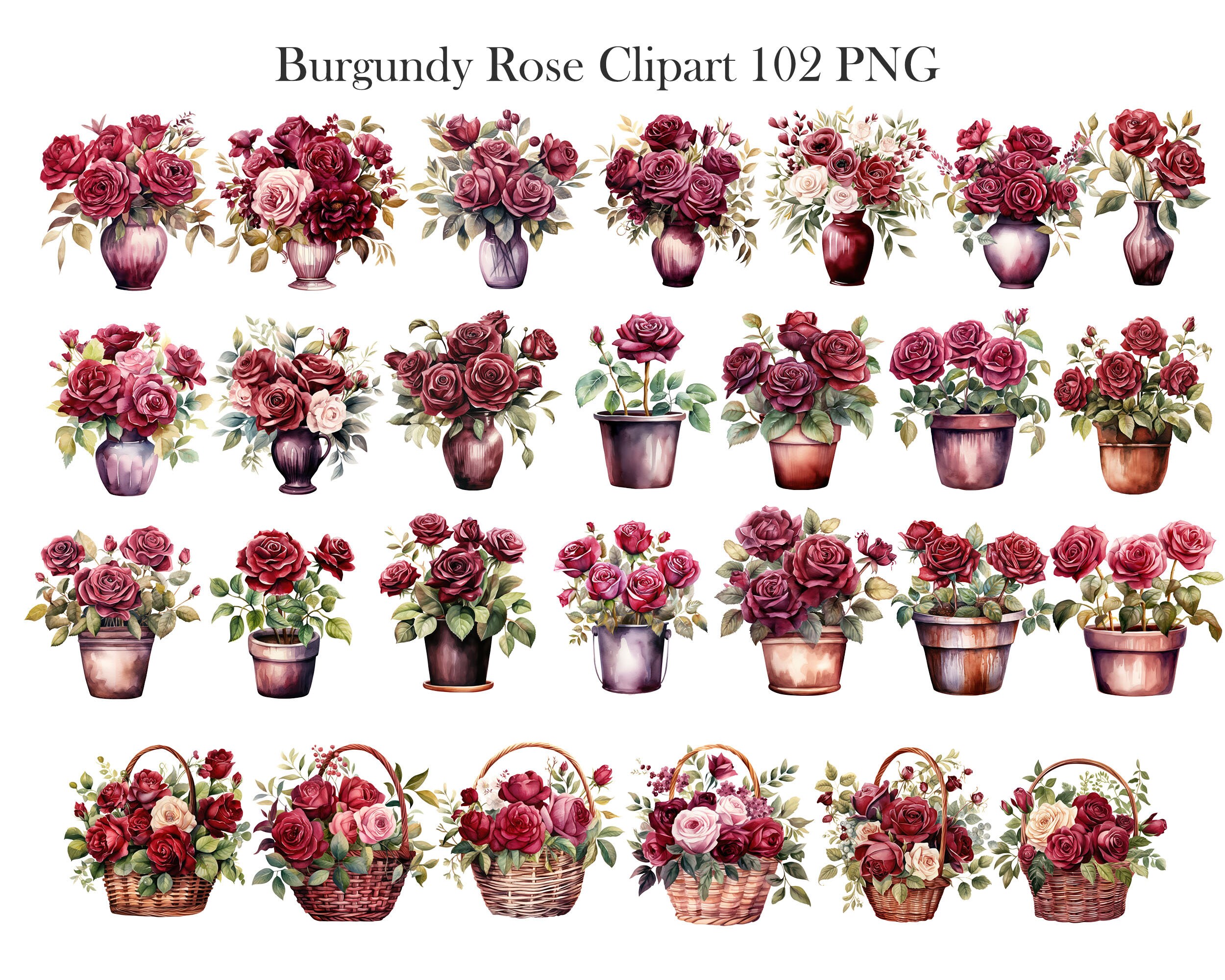 Burgundy Rose PNG, Watercolor Burgundy Rose Clipart Bundle, Wedding ...
