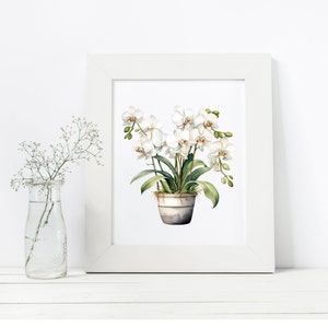 White Orchid PNG, Watercolor Orchid Clipart Bundle, White Flower ...