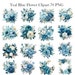 Teal Blue Flower PNG, Watercolor Blue Floral Clipart Bundle, Winter ...